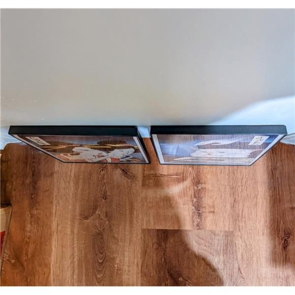 Art | Japan Japanese Geisha Lady Yelling Cat Meme Wall Art Decor Framed ...